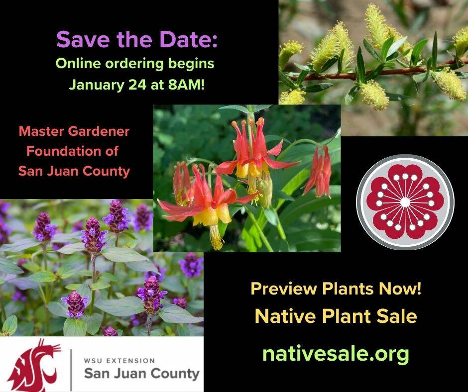 SJC Master Gardeners open 2026 native plant sale for online ordering ...