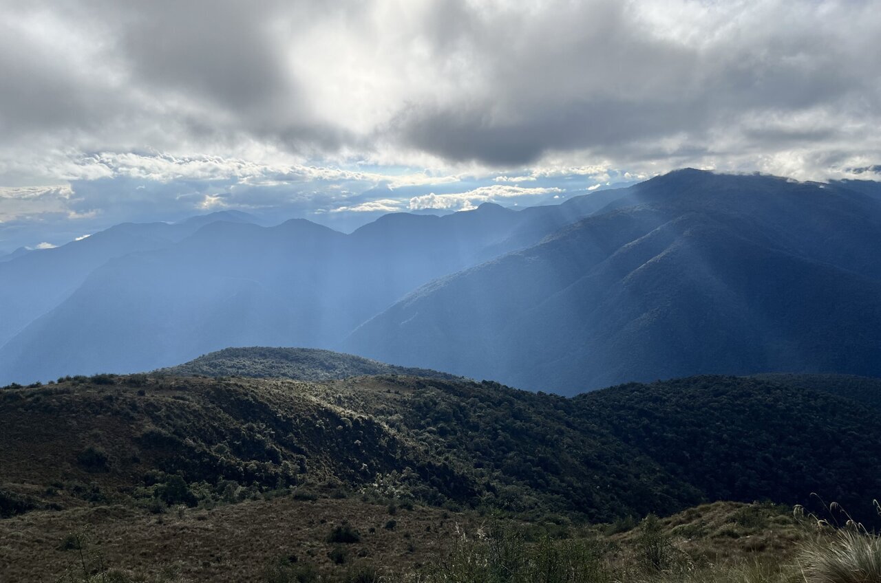 Large parts of the tropics overlooked in environmental research, study says