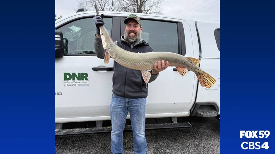 Record-setting longnose gar caught by Floyd County man