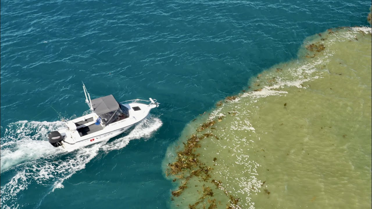 Hunting big fish where two oceans meet!