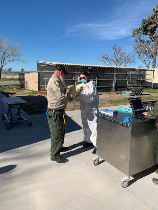 200 ducks found in Southern California box truck after owner dies