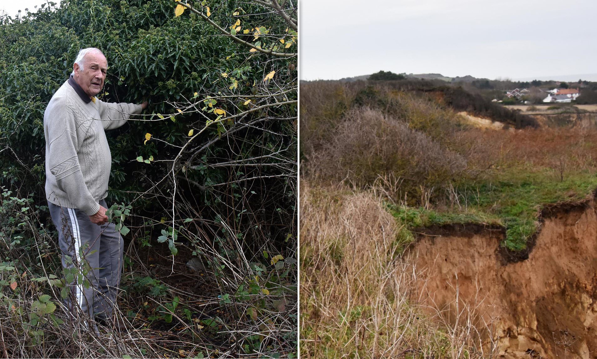 Council ridiculed for public byway which leads to impassable thicket ...