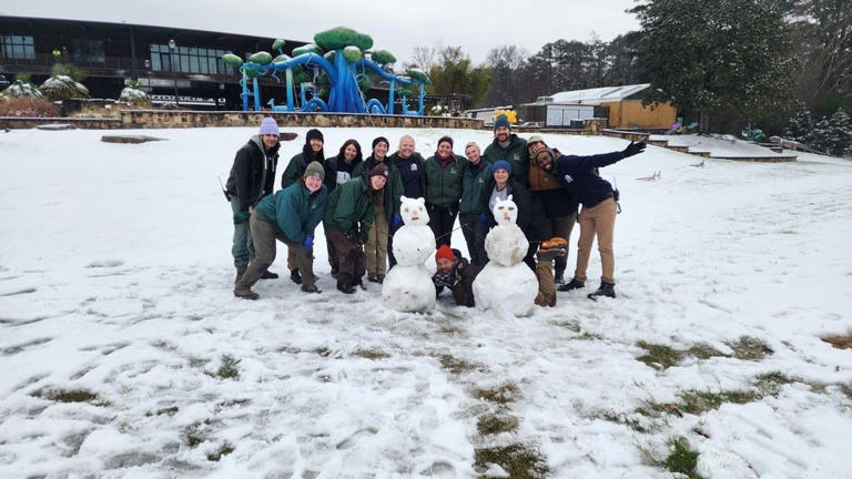 Snow rumors swirl again in Alabama - here’s what the data and forecasts say