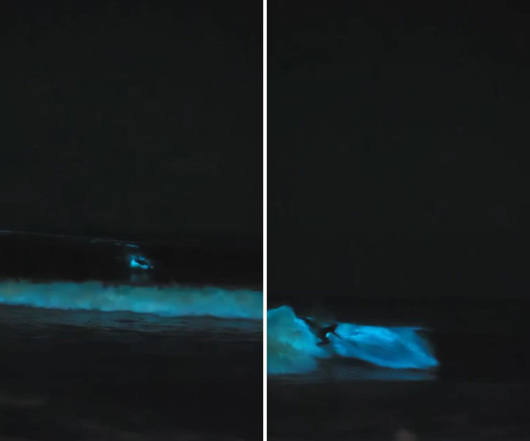 Surfer records rare phenomenon as he rides bioluminescent waves beneath ...