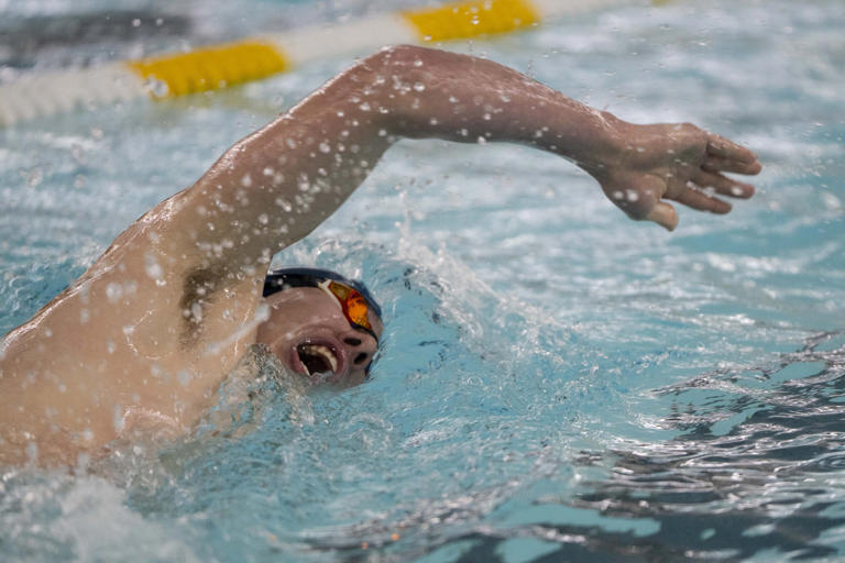 Bay County’s top swimming performances heading into Tri-Cities Championship