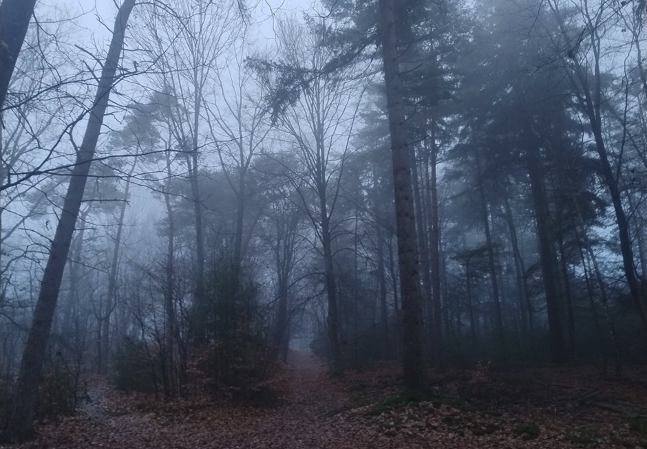 Waarom helder weer in de winter lastig te voorspellen is