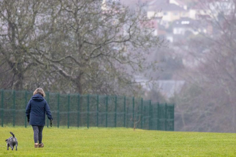Police called to 'hostile' school playing field stand-off