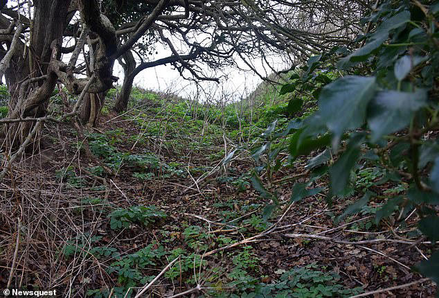 Council ridiculed for public byway which leads to impassable thicket ...