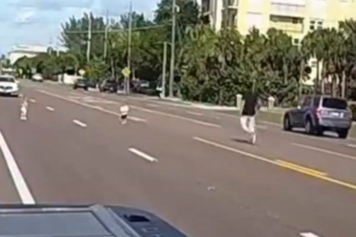 Moment hero rescues toddlers from middle of Florida street