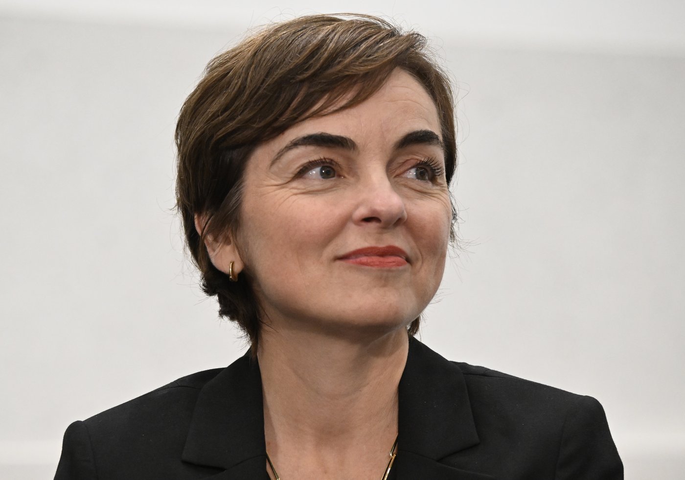 Chefferie caquiste : Christine Fréchette en réflexion et Eric Girard ...