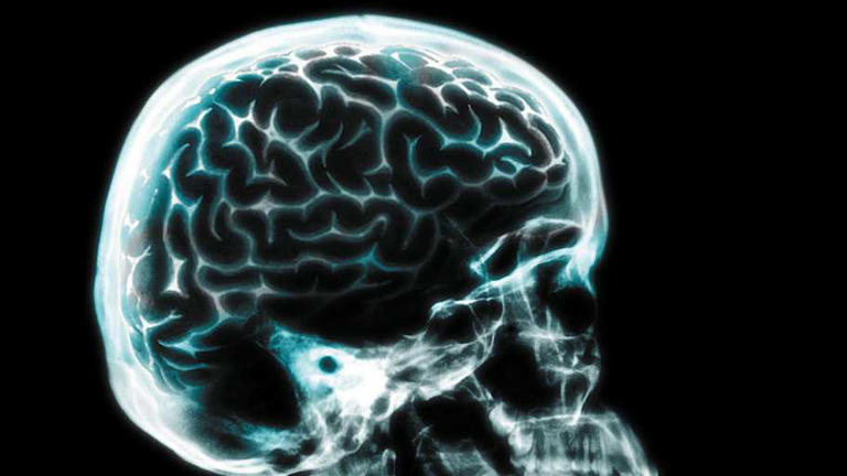 Why do some smells trigger memories?