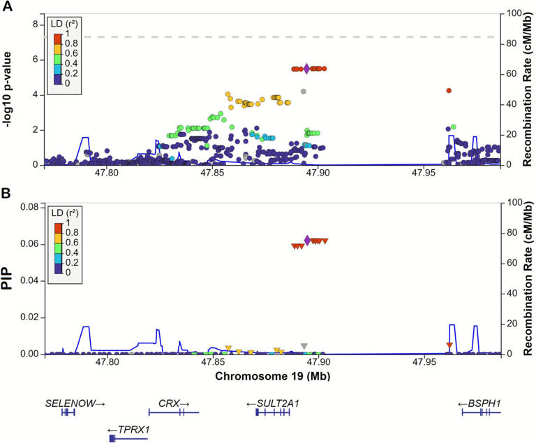 Trial reveals gene variant may affect prostate cancer drug efficacy