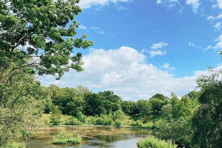 Dead birds warning at beauty spot near Coventry