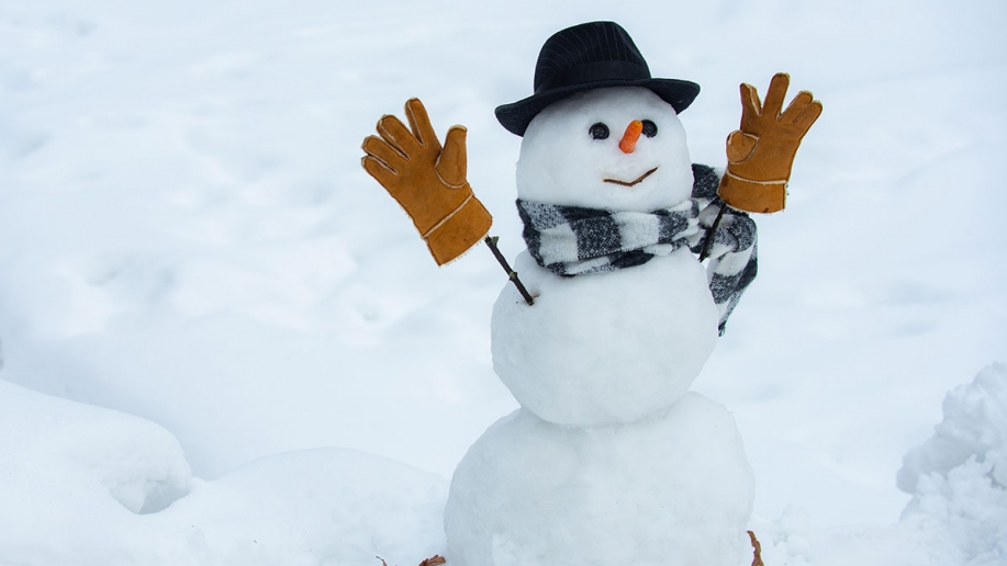 Un bonhomme de neige orné d’oreilles de bovin découvert à Waterloo : la ...