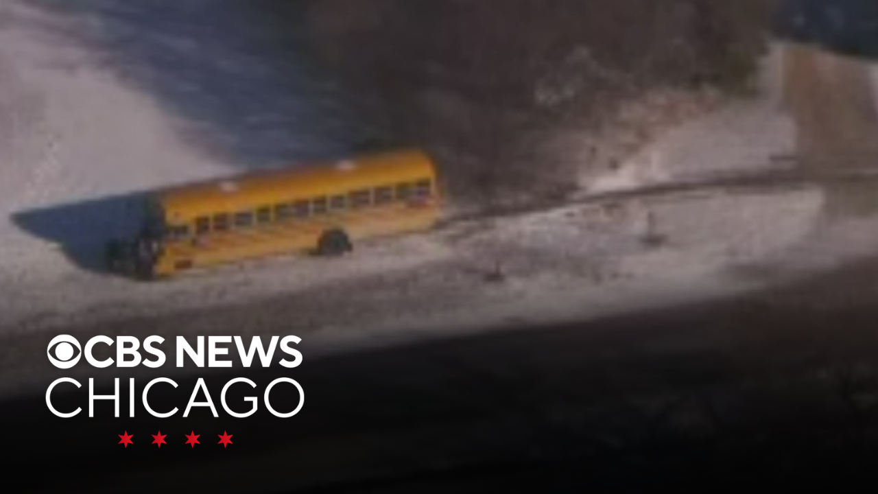 Driver killed in crash involving school bus near Manhattan, Illinois