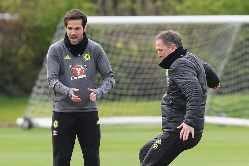 Hard to please, meticulous, all about winning - why Steve Holland is ...