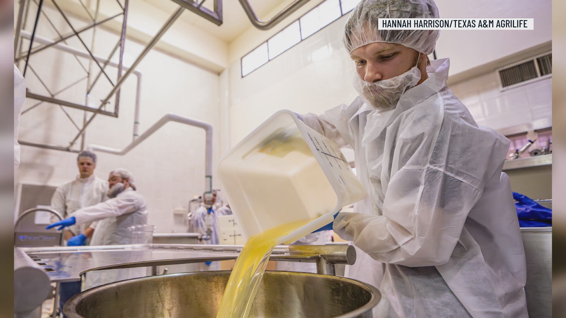 Texas A&M students and faculty launch the first Texas A&M-branded BBQ ...