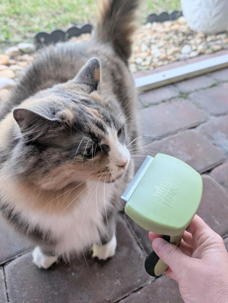 Coastal Pet Products brush review