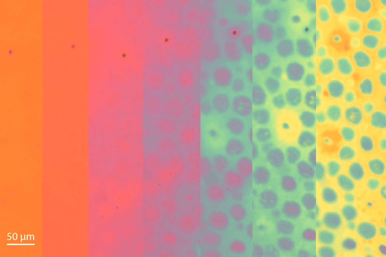 Scientists built an artificial skin that changes color and texture like ...