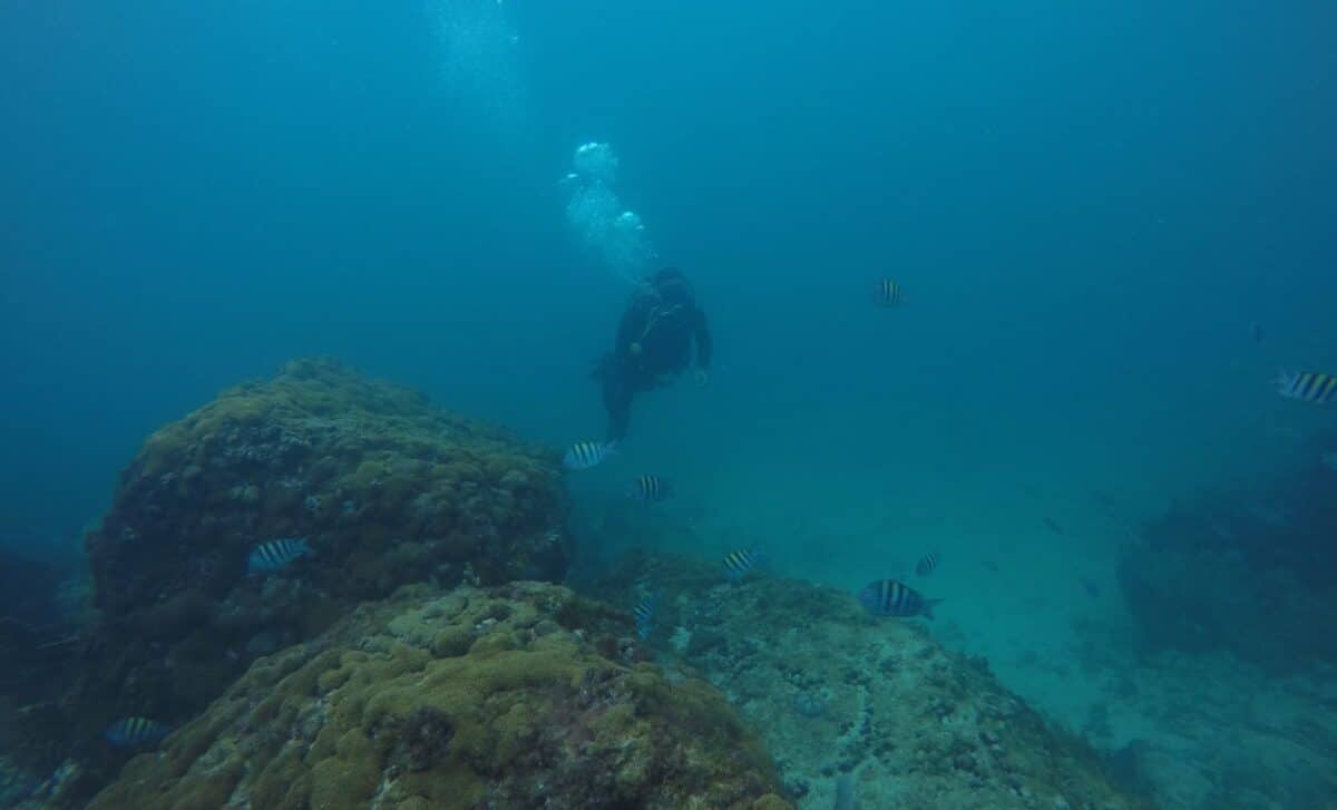 Divers stumble upon a ghostly figure underwater, it’s older than they ...