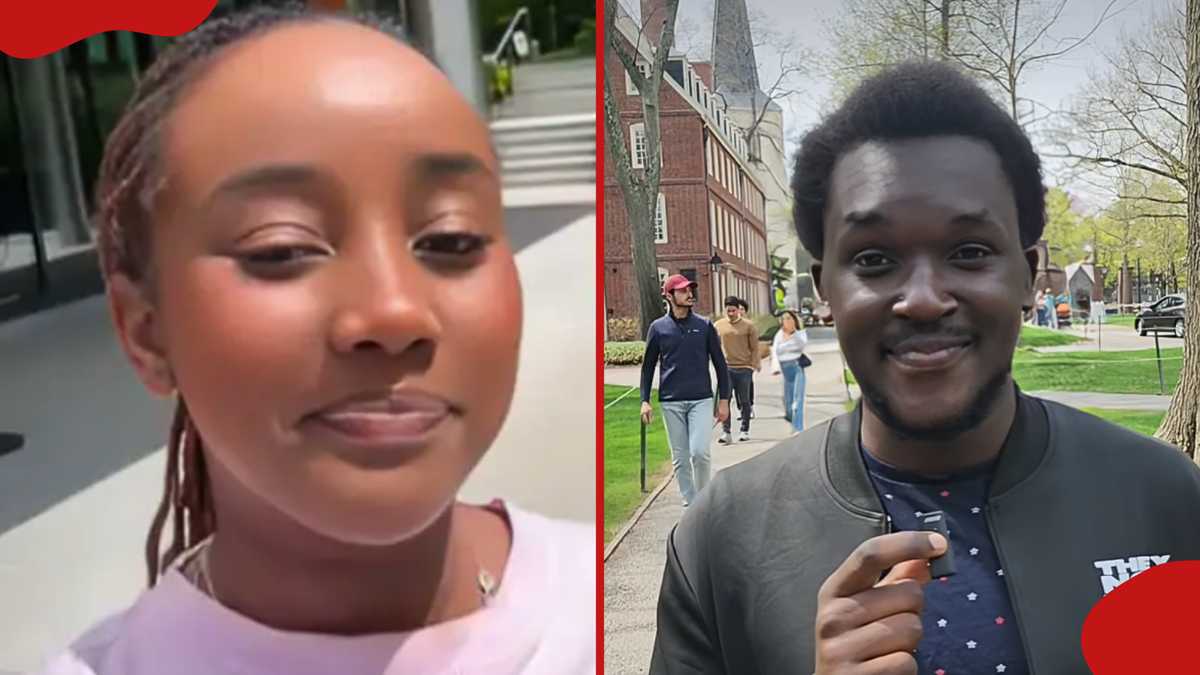 Where are they now? Incredible career paths of 2019 kcse candidates who ...