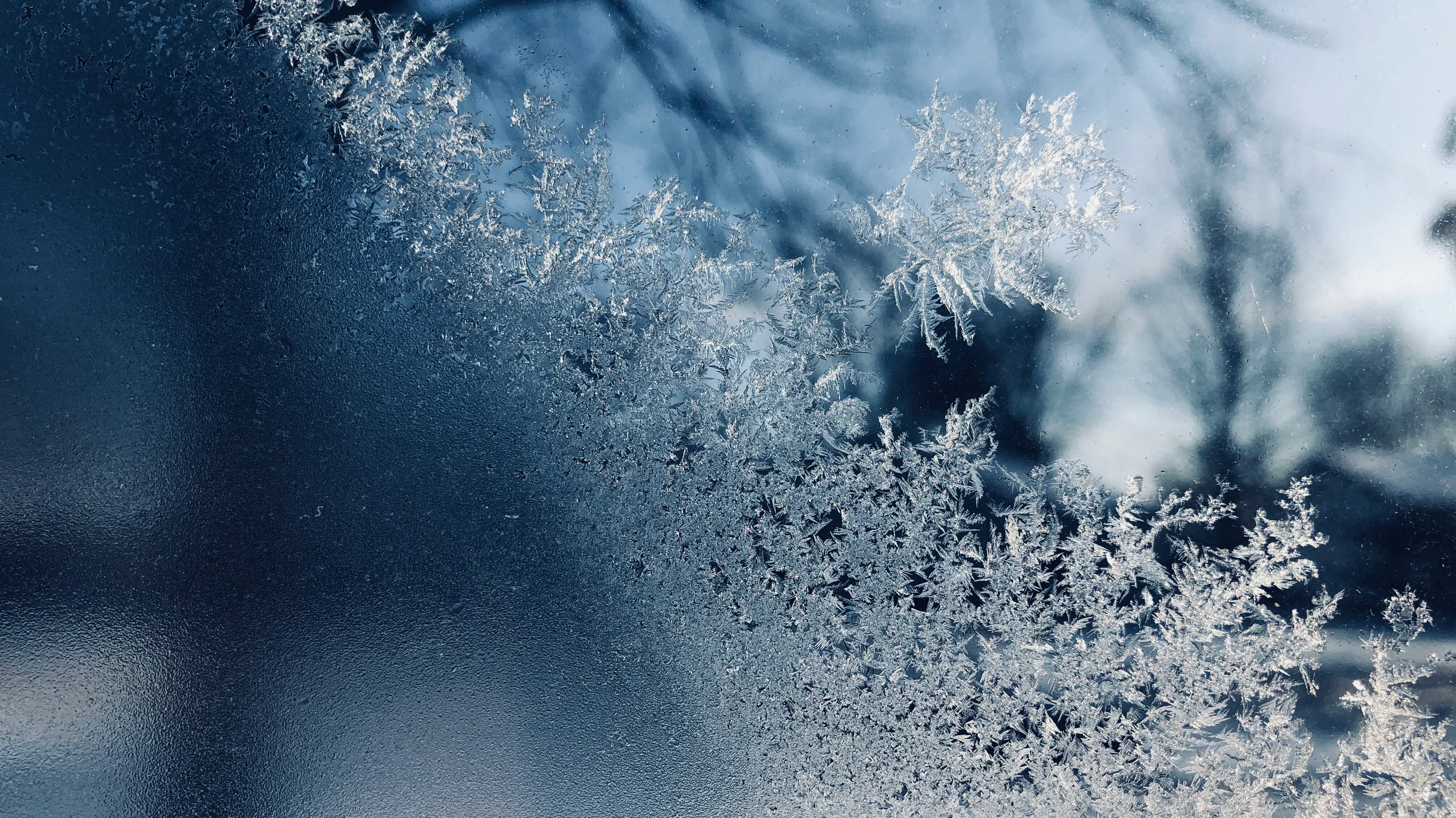 First Alert Weather Days: Snow for morning commute