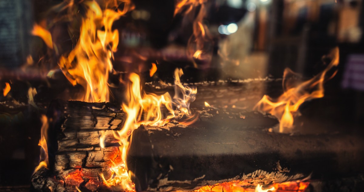 Dog nearly burns house down after chewing through heated glove