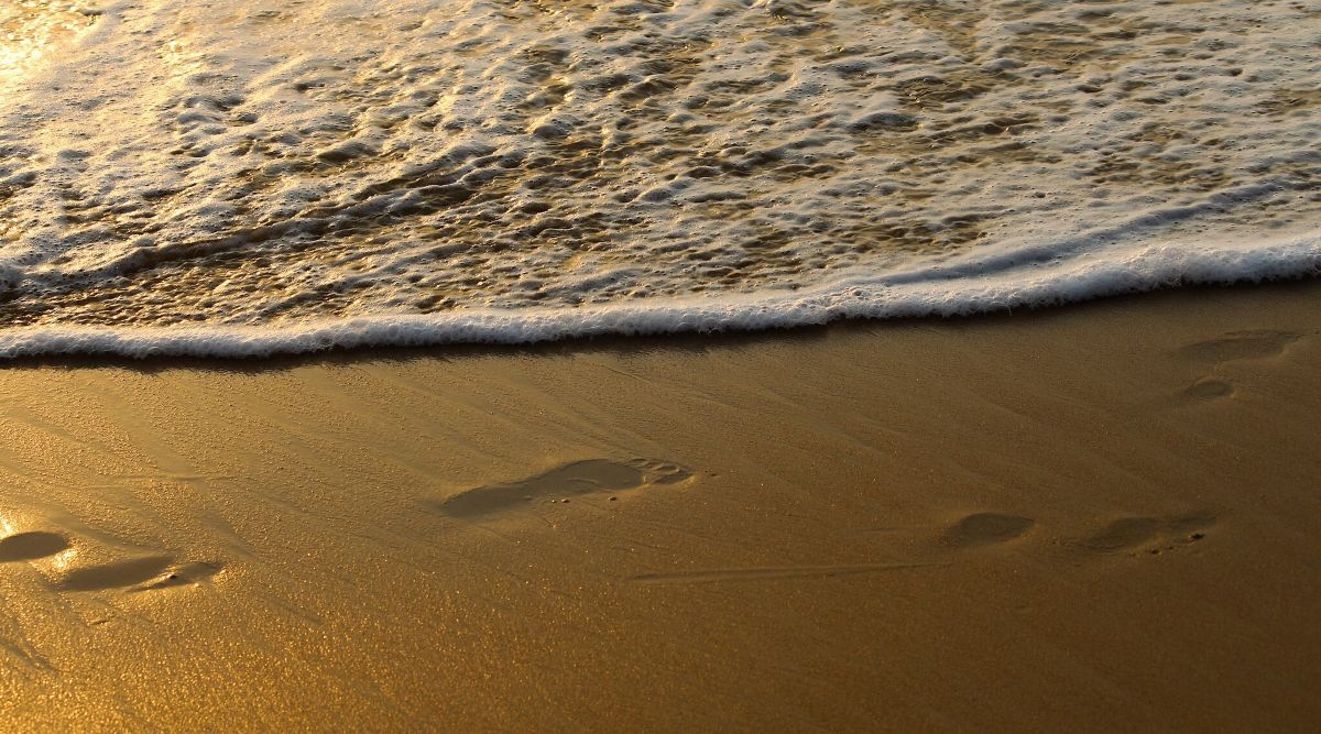 Hundreds of old shoes wash up on a Welsh beach
