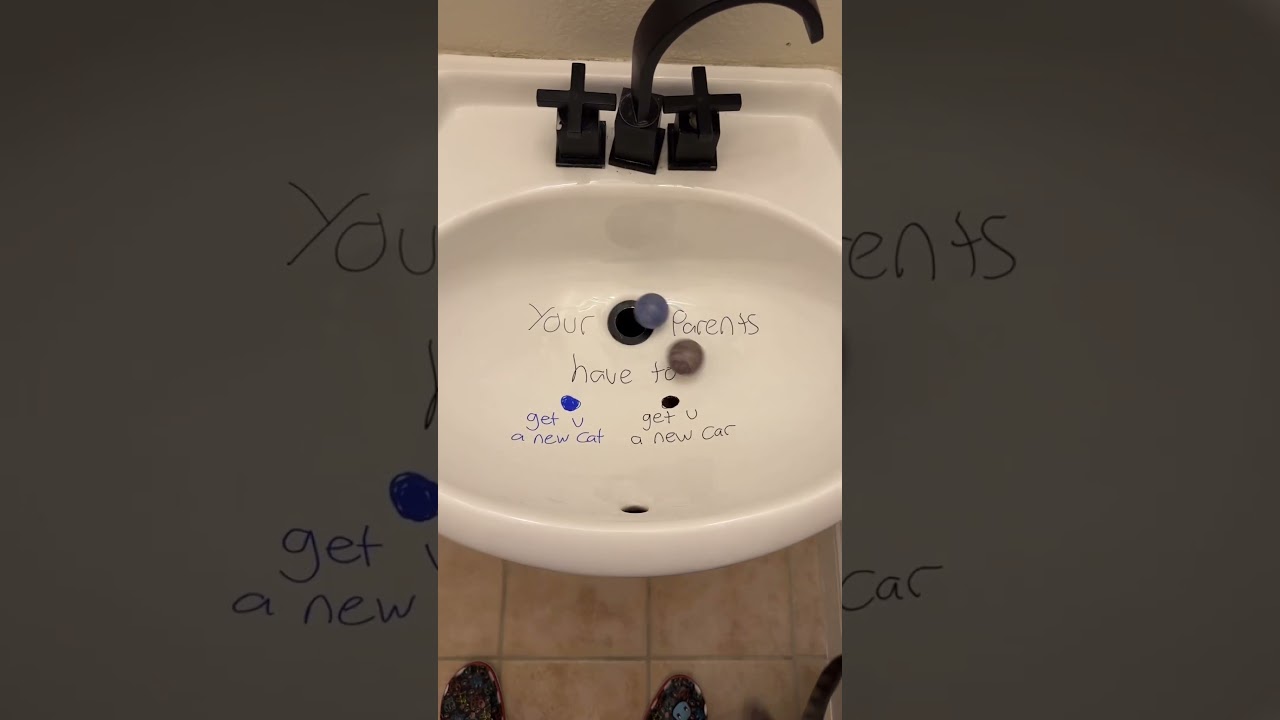 See our feline judge the hilarious Balls of Fate challenge