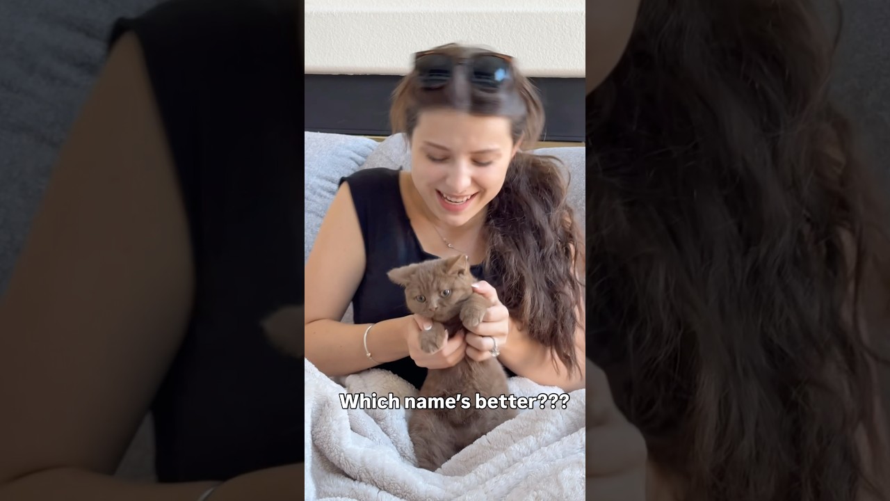 How we pick the perfect names for our mischievous cats