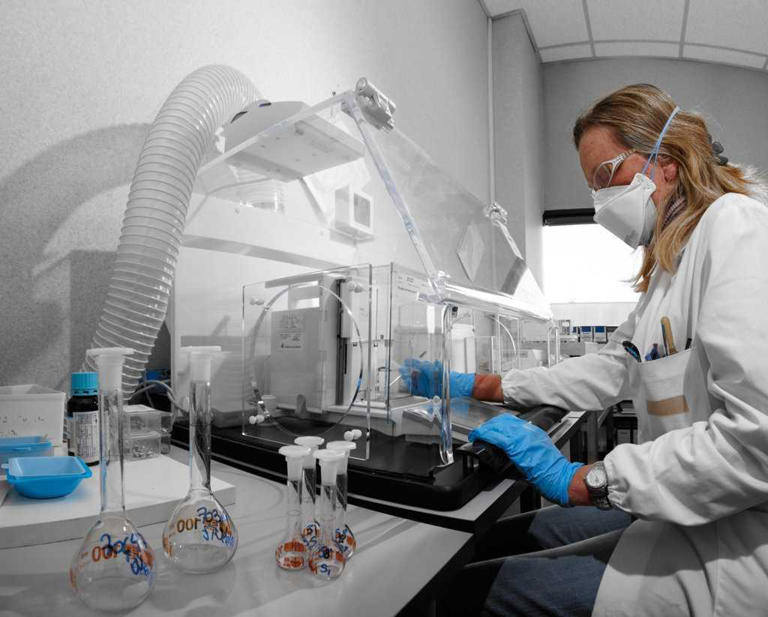 Top employer 2026, dalla Lamborghini alla Ferrari fino a Hera: le 7 aziende eccellenti dell ...