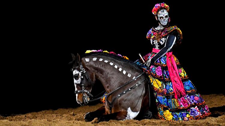 9NEWS to air three National Western Stock Show rodeos