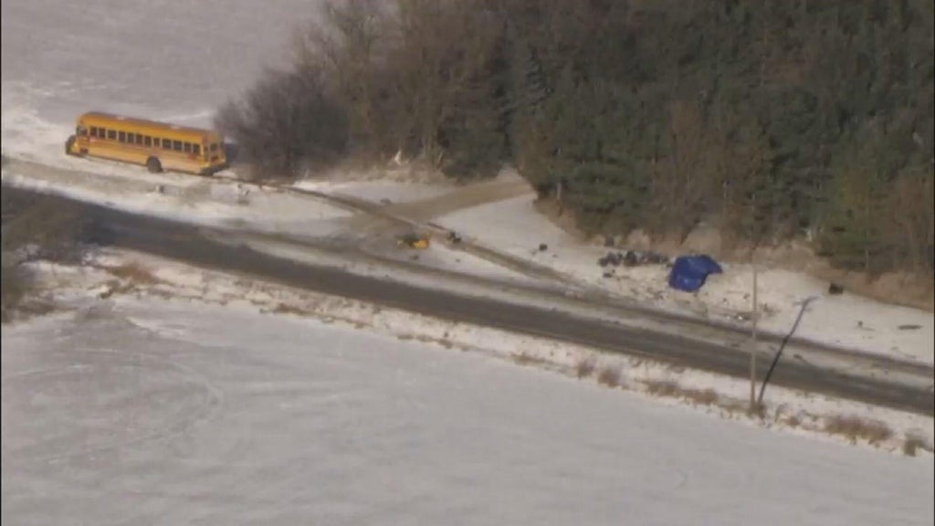 Driver killed, kids taken to hospital in school bus crash near ...