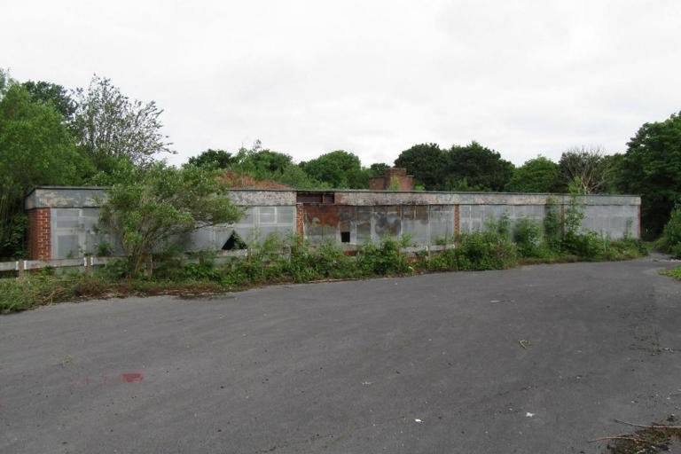Bat discovery halts housing scheme at former Wakefield primary school site