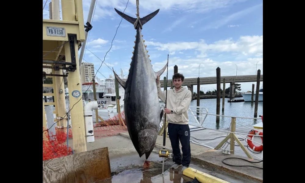 832.6-pound record bluefin tuna hit 'like an atom bomb going off'
