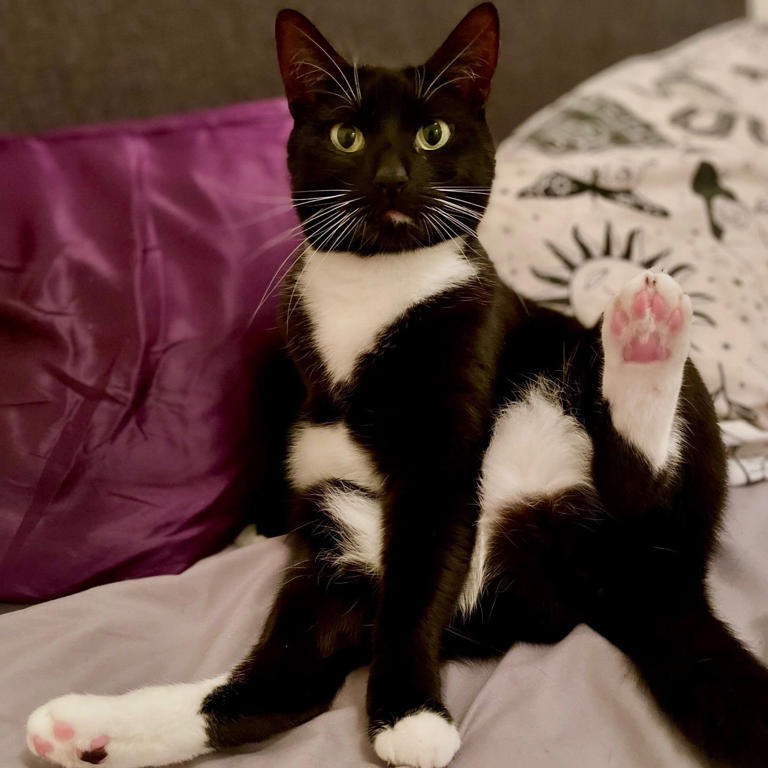 Cafe drama: Note accuses woman of being too loud