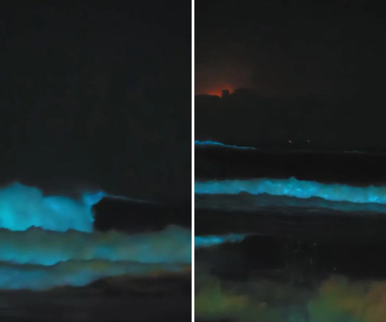 Surfer records rare phenomenon as he rides bioluminescent waves beneath ...
