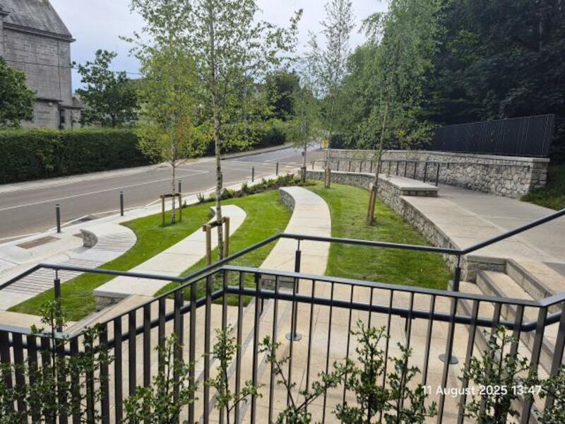 How the cost of installing 14 steps and a ramp at Dublin park spiralled ...