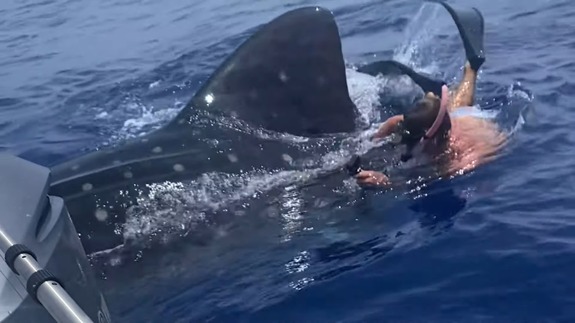 This thing was bigger than the boat