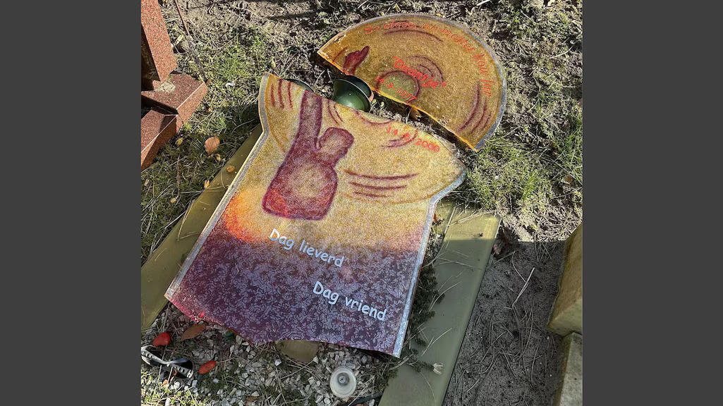 Verdachte van vernielen graven Den Haag was hier al eens voor veroordeeld