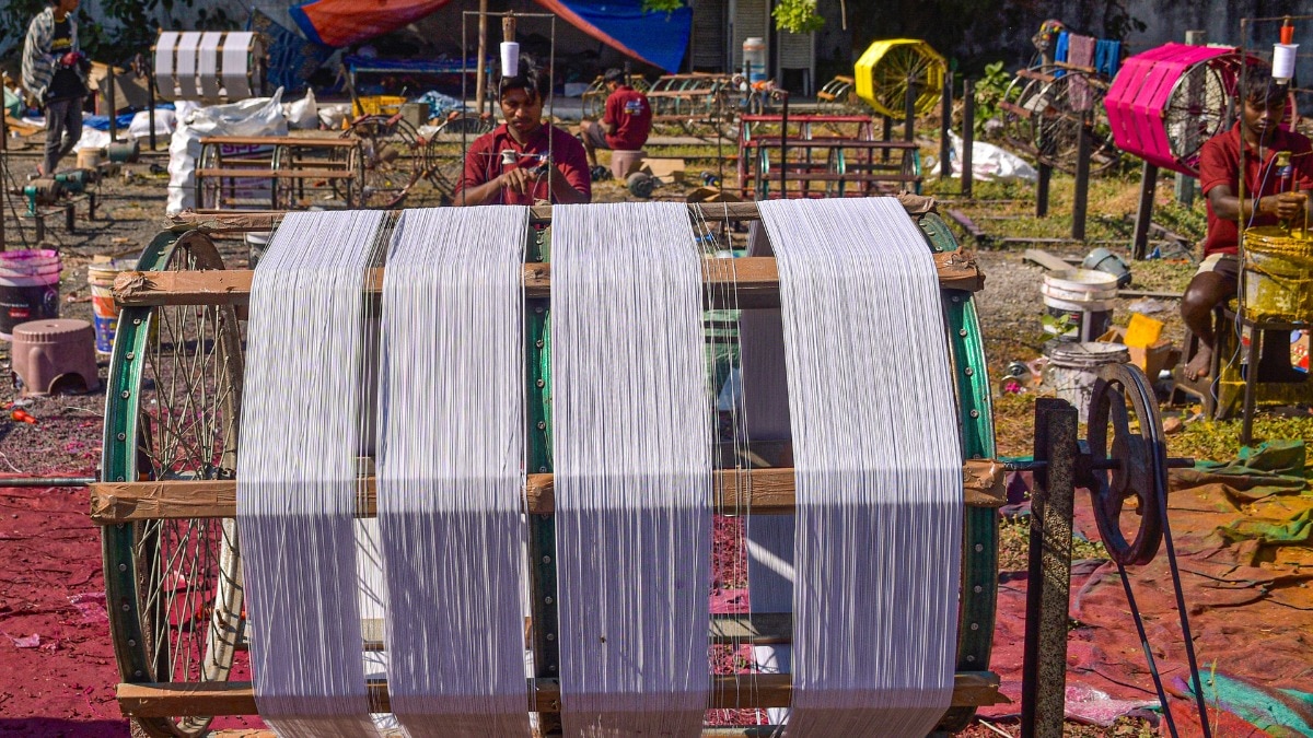 As birds drop dead, why kite-loving Gujarat is losing the fight against ...