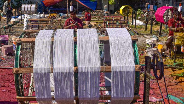 As birds drop dead, why kite-loving Gujarat is losing the fight against ...