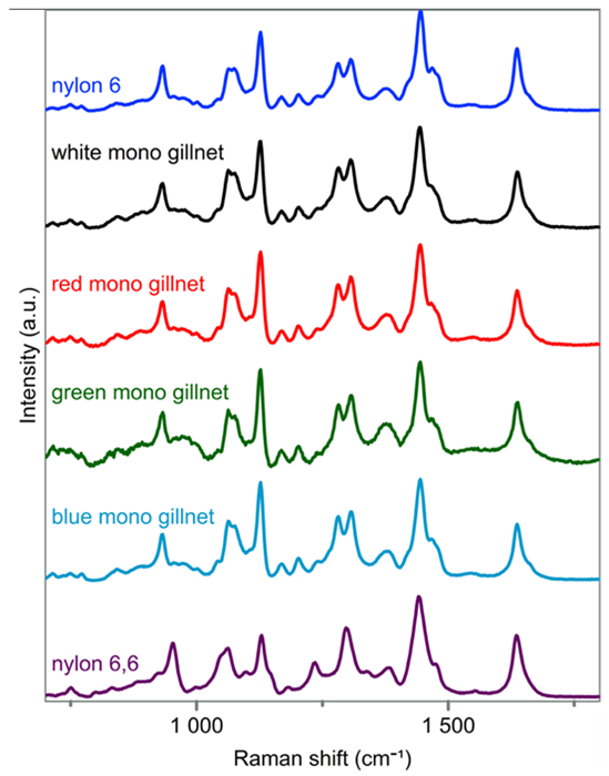 Rapid identification of fishing gear polymers using Raman spectroscopy