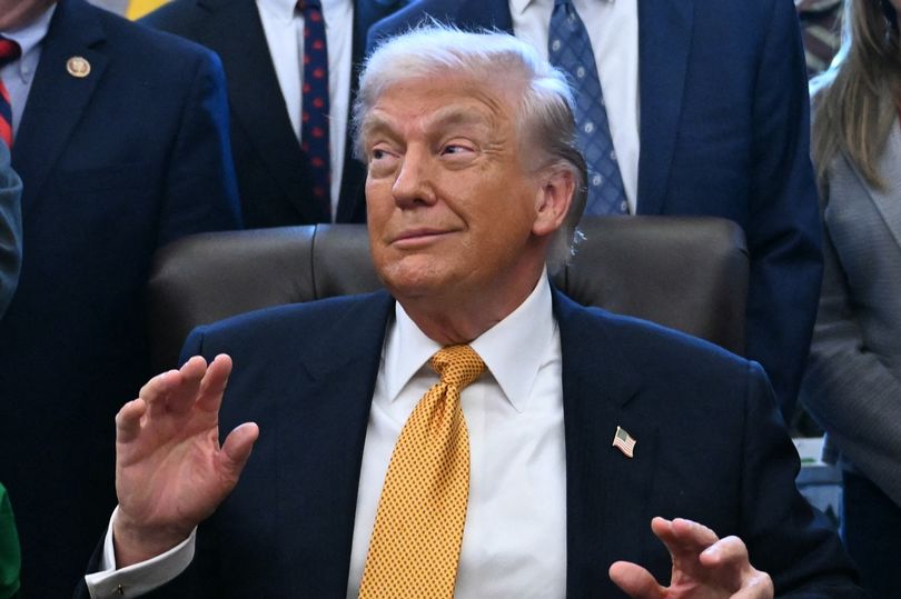 Fox News viewers slam 'grandpa' Donald Trump as his mind goes blank ...