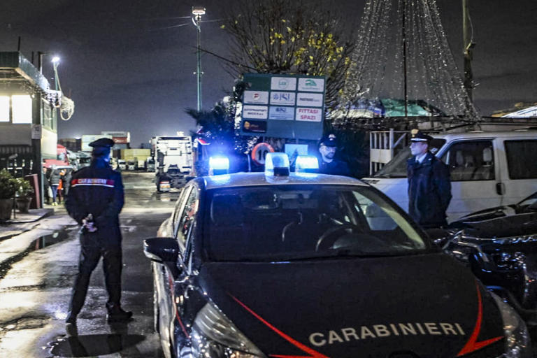 Worker dies after being hit by tree branch near Turin
