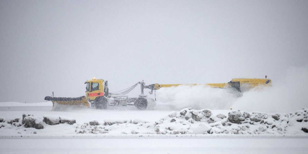 Dyr och seg apparat om USA ska överta Grönland