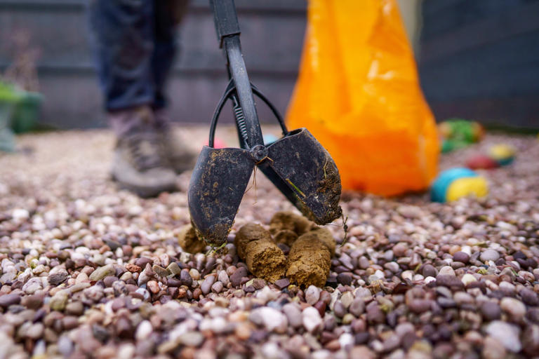 I'm a savvy dad-of-4 trying to get rich by earning £24,000 a year ...