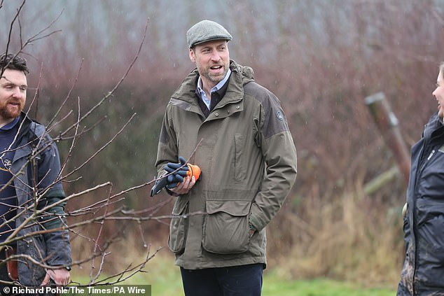 Prince William mucks in: Royal goes rural as he helps out on the farm