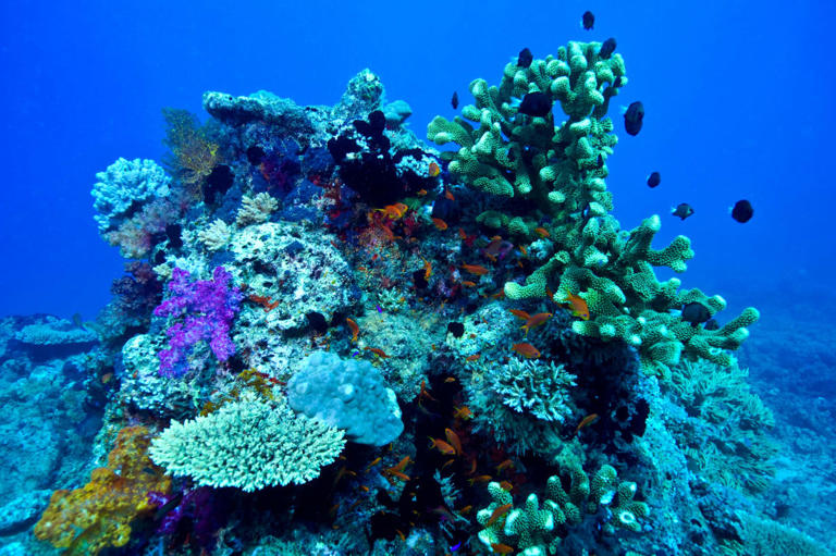 Hidden “darkwaves” discovered beneath the sea— and it may threaten ...