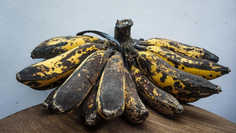 Fruit rotting too fast in your kitchen? Here’s an easy and no-cost ...